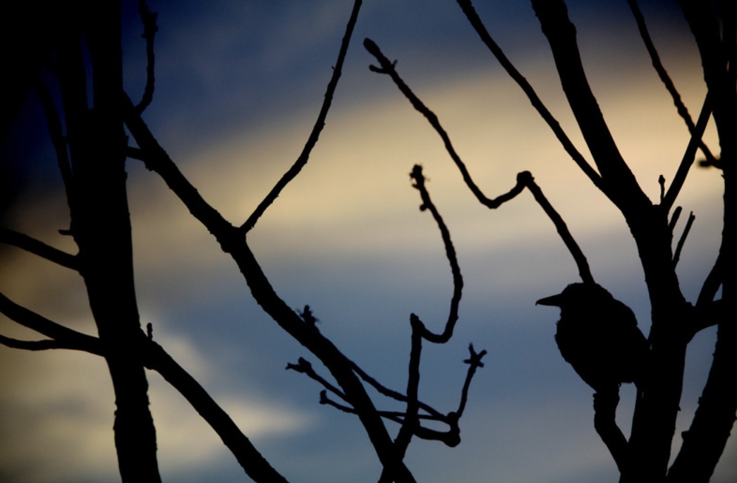 Safe from the Snare - Treasures in Trials