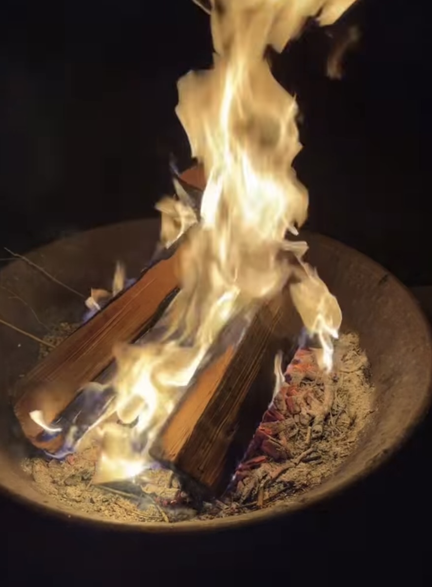 Fruitful or Firewood? - Treasures in Trials
