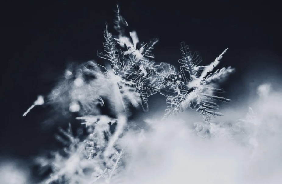 Thoughts on a Snowy Day - Treasures in Trials
